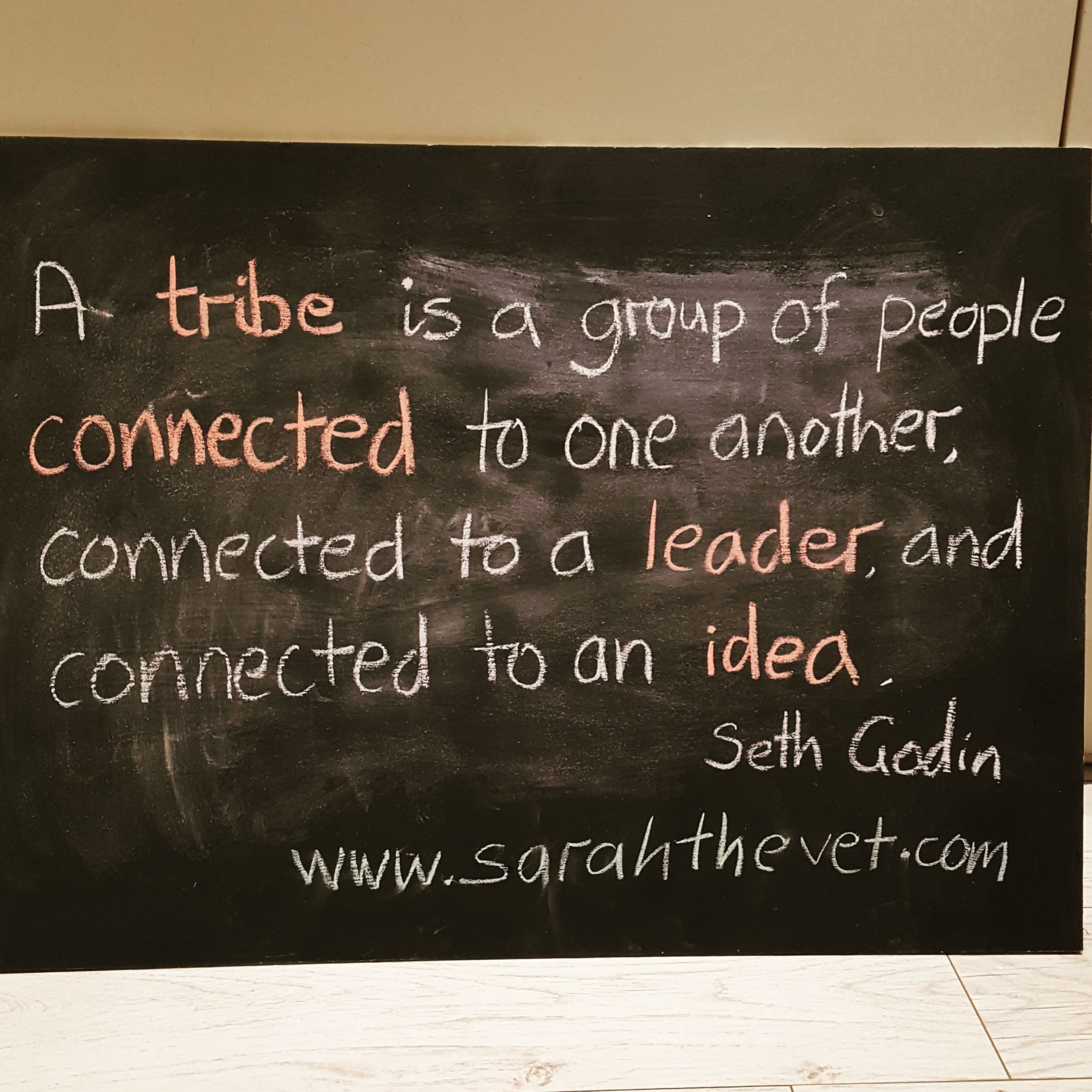 The Importance Of Finding Your Tribe Sarah The Vet